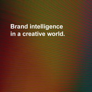 DISCIPLINES – Whitestone International